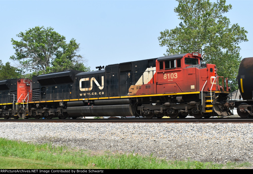 CN 8103